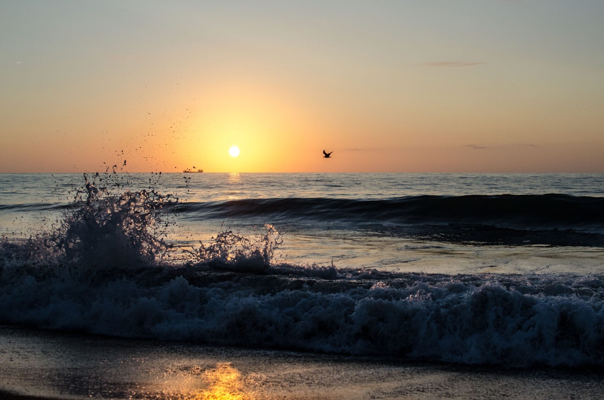 Service Area | Bethany-Fenwick Area Chamber of Commerce