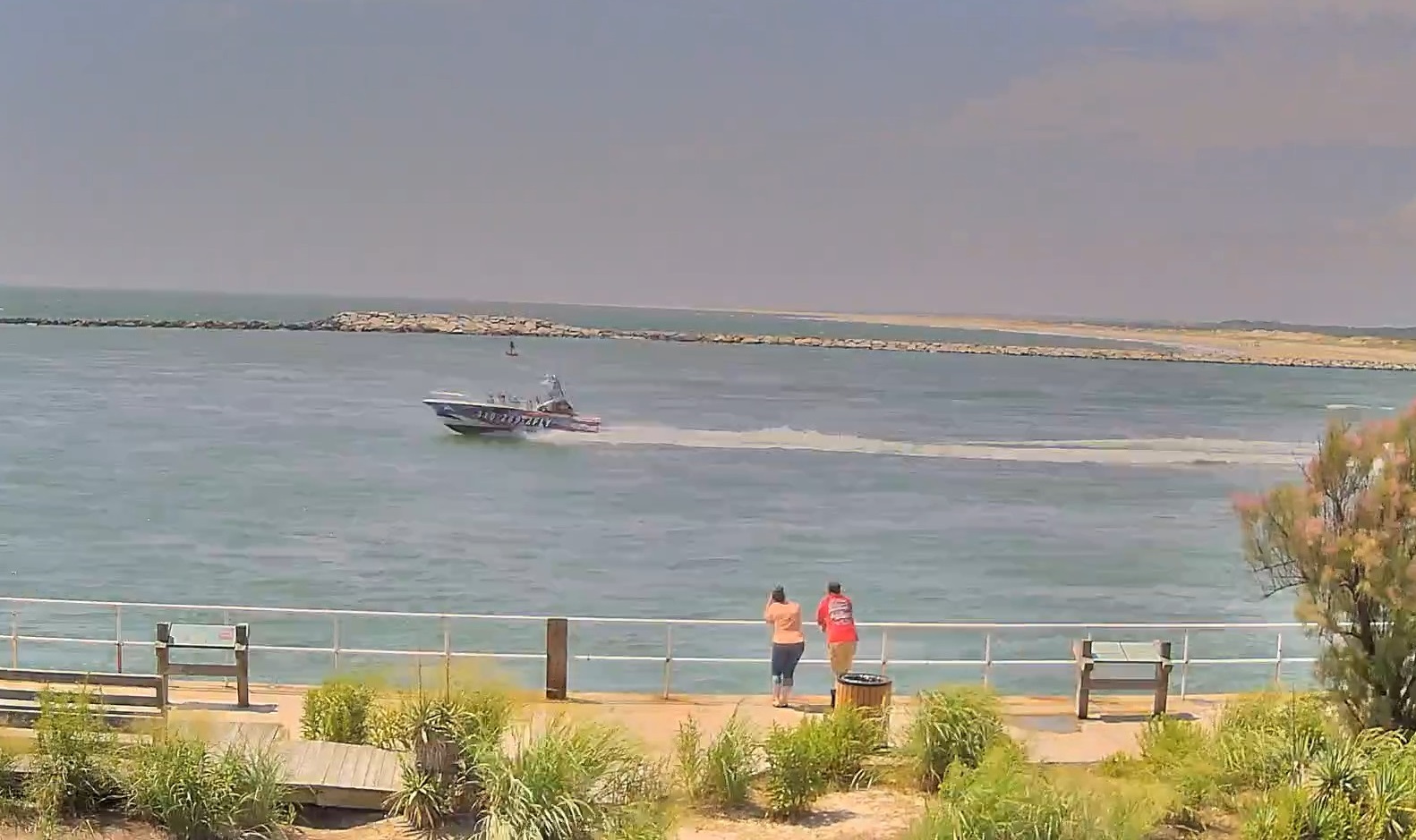 Assateague Island Live Cam | Ocean City MD Webcams