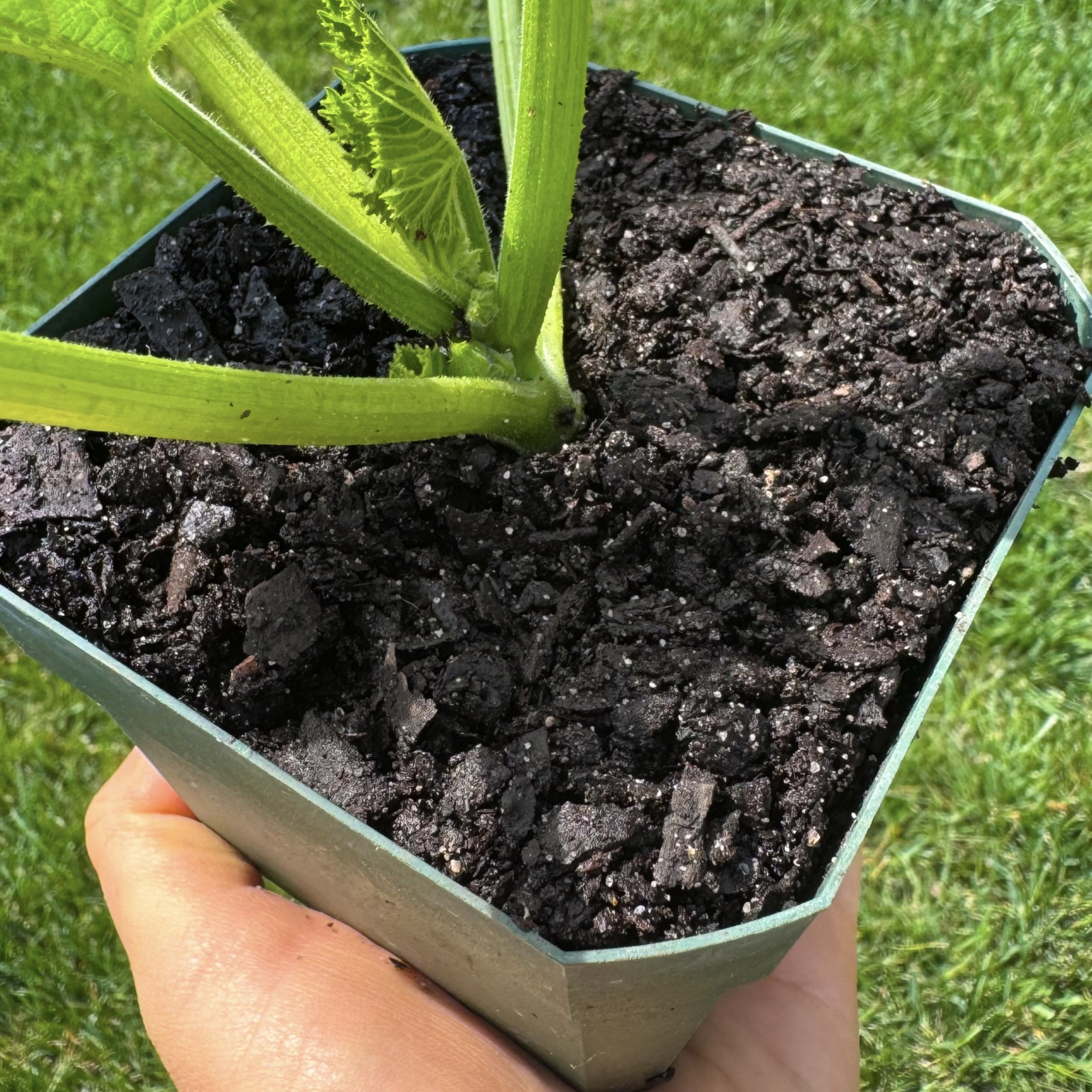 Composted Bark Fines - Eastern Shore Forest Products