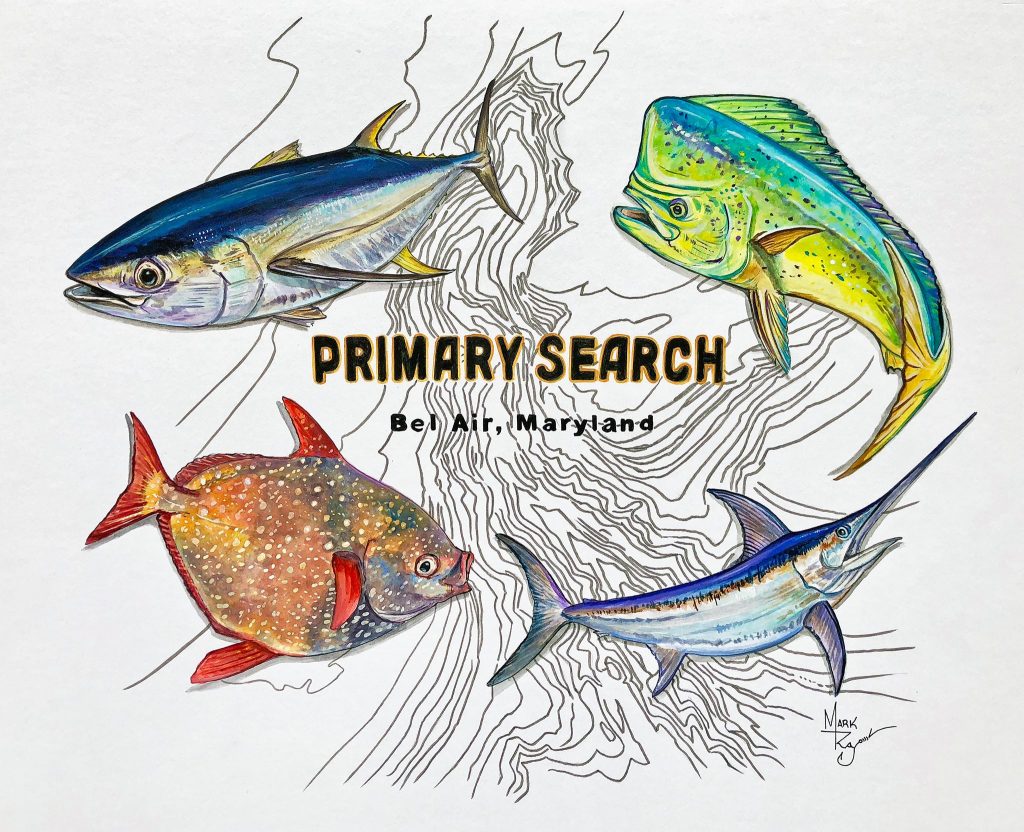 Fish in OC Fishing Reports & News Ocean City Maryland Tournaments