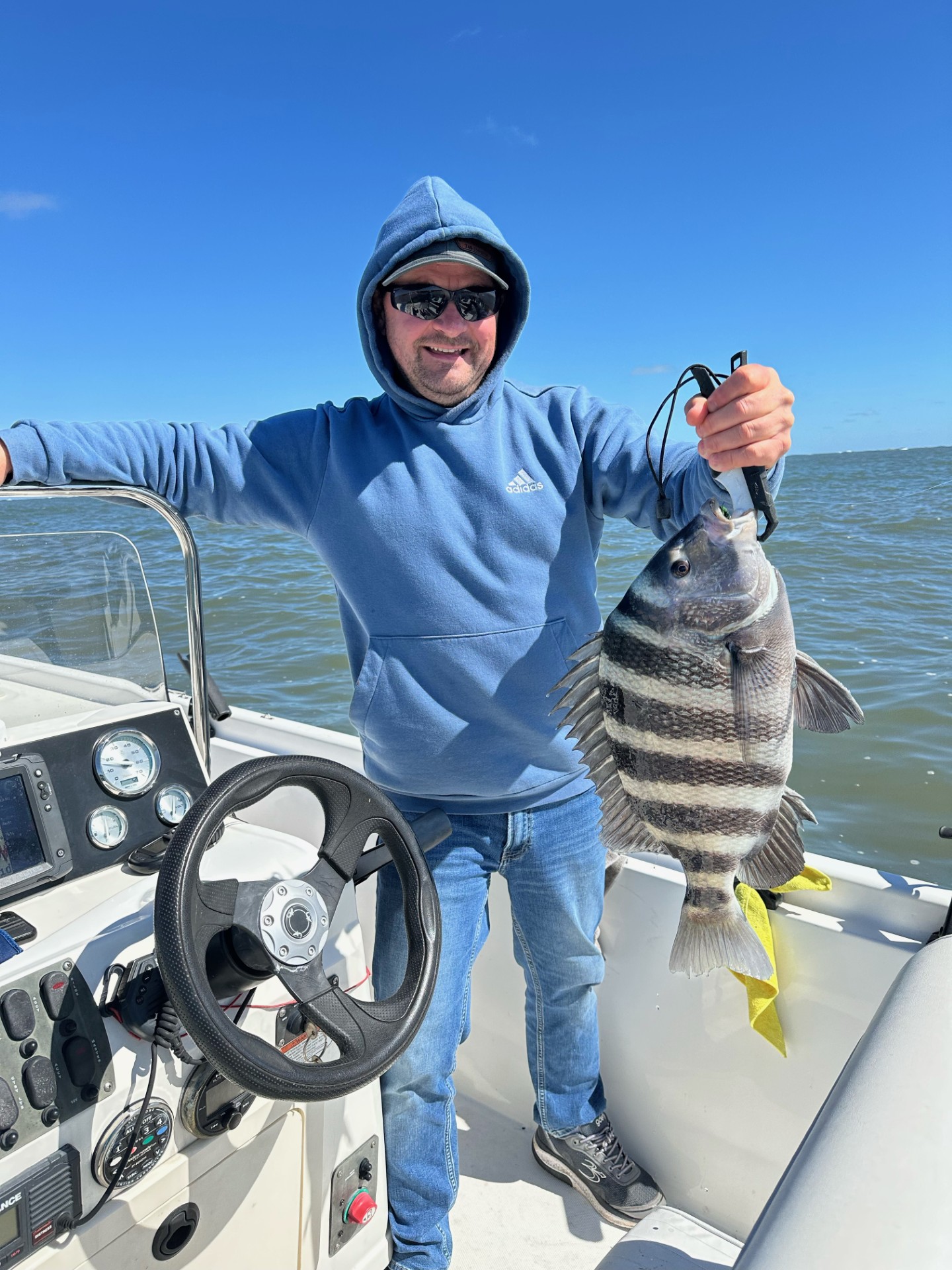 Bluefish and Sheepshead in the Bay - Ocean City MD Fishing