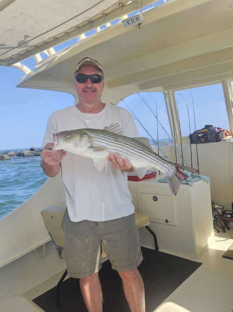 Keeper Sized Sea Bass in the OC Inlet - Ocean City MD Fishing