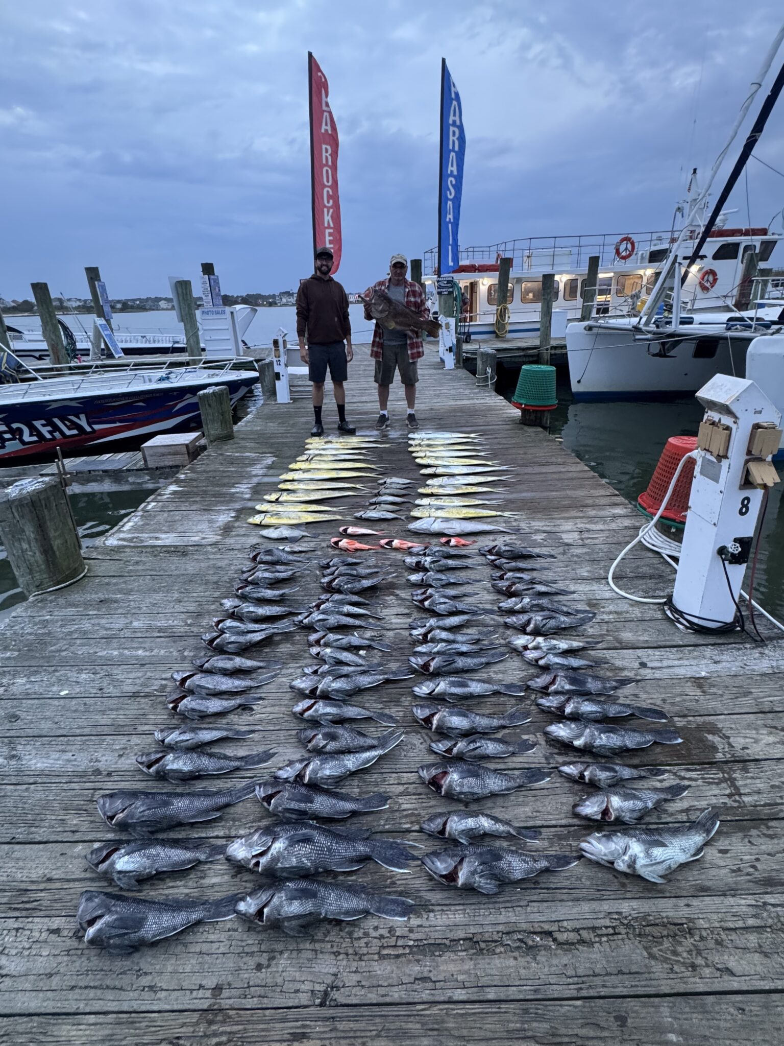 Flounder, Sheepshead, Tautog and A Yellowedge Grouper - Ocean City MD ...