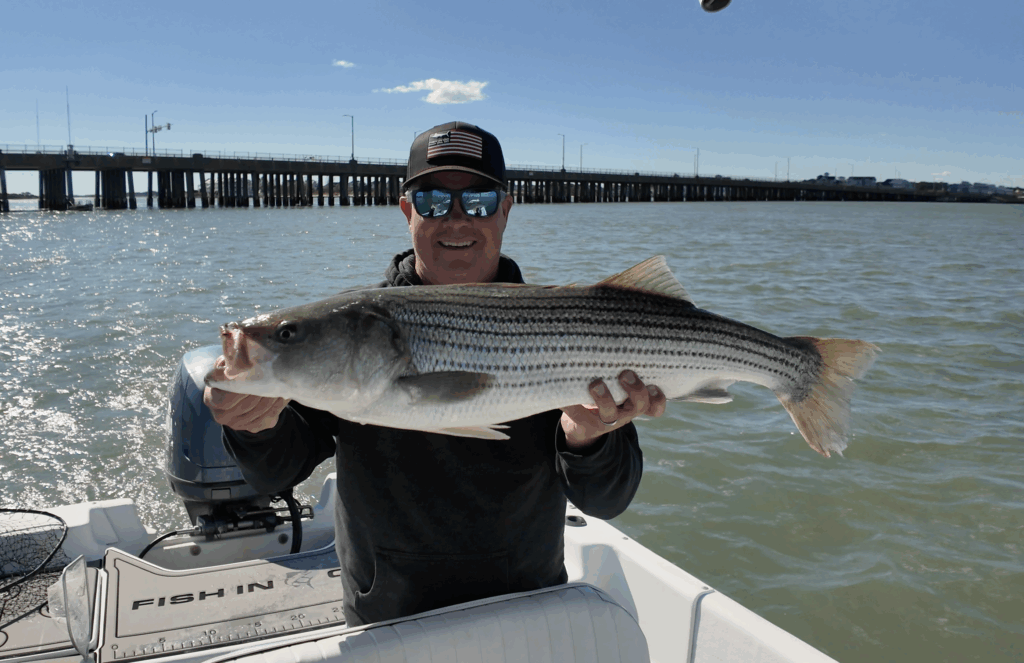 Biggest Striped Bass I've Caught at the Route 50 Bridge - Ocean City MD ...