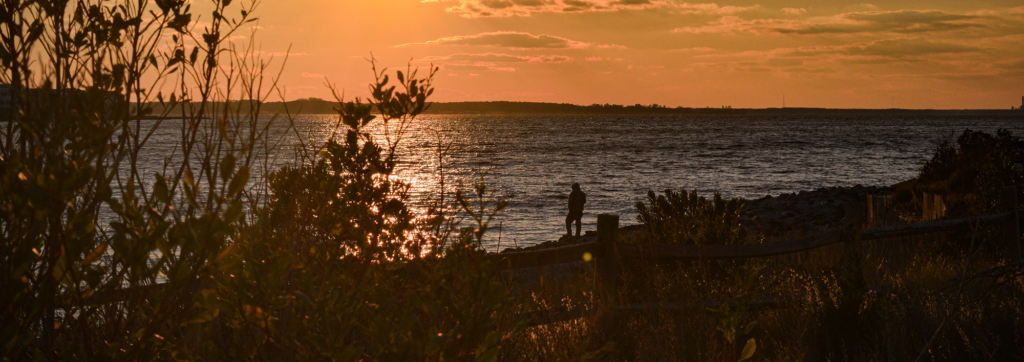 Additional Homeowner Resources | Delaware Center for the Inland Bays