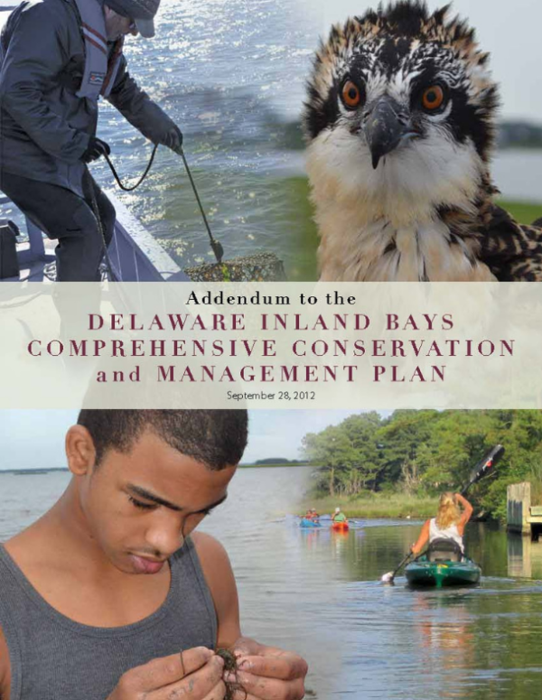 Publications & Reports | Delaware Center for the Inland Bays