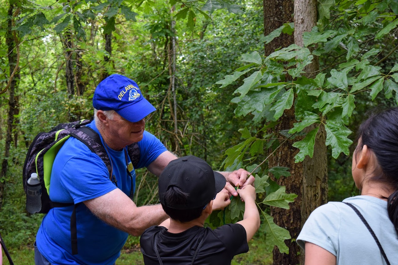 Inland Bays Homeschool Series: How Plants Grow | Delaware Center for ...