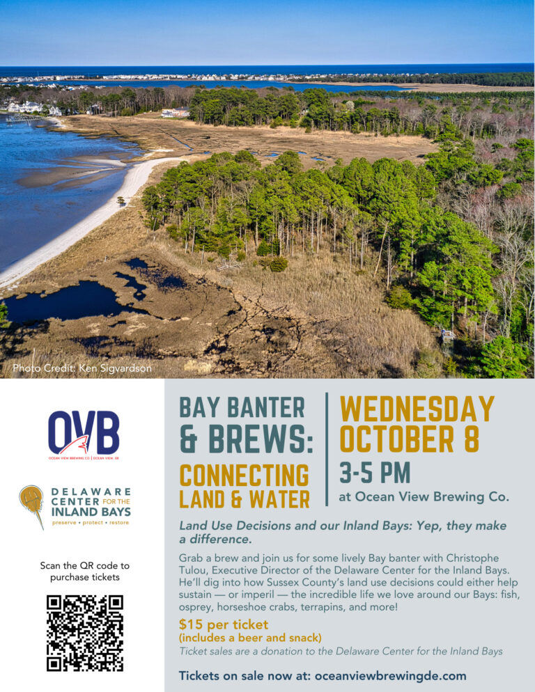 Delaware Center for the Inland Bays | Volunteer, Donate, Learn