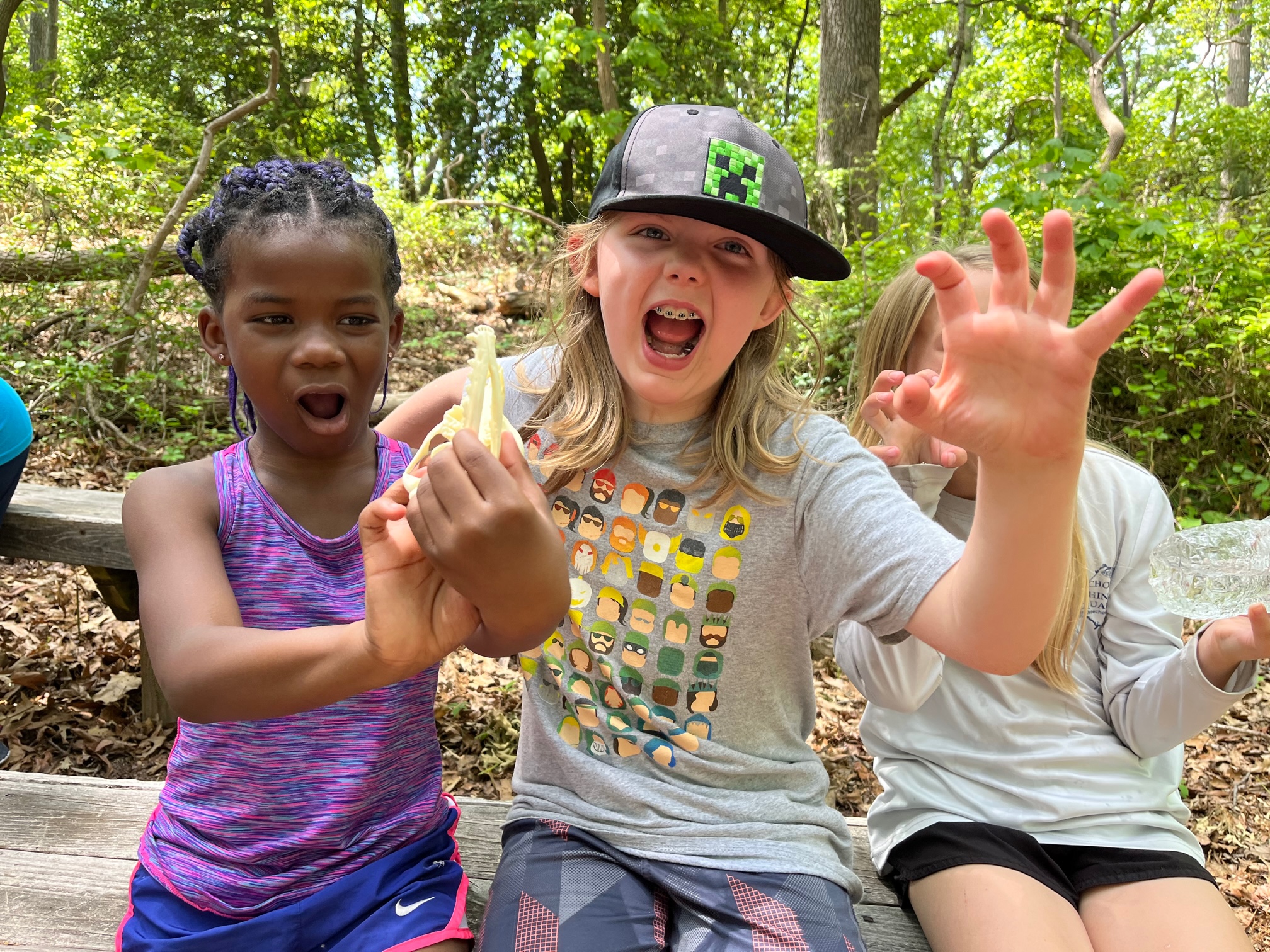 Kids' Day: Animal Mania | Delaware Center for the Inland Bays