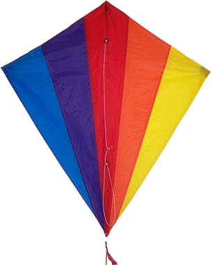 Single Line Kites | The Kite Loft | Ocean City, MD