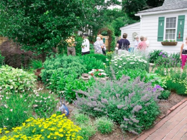 2025 Lewes Tulip Celebration | Lewes Chamber of Commerce