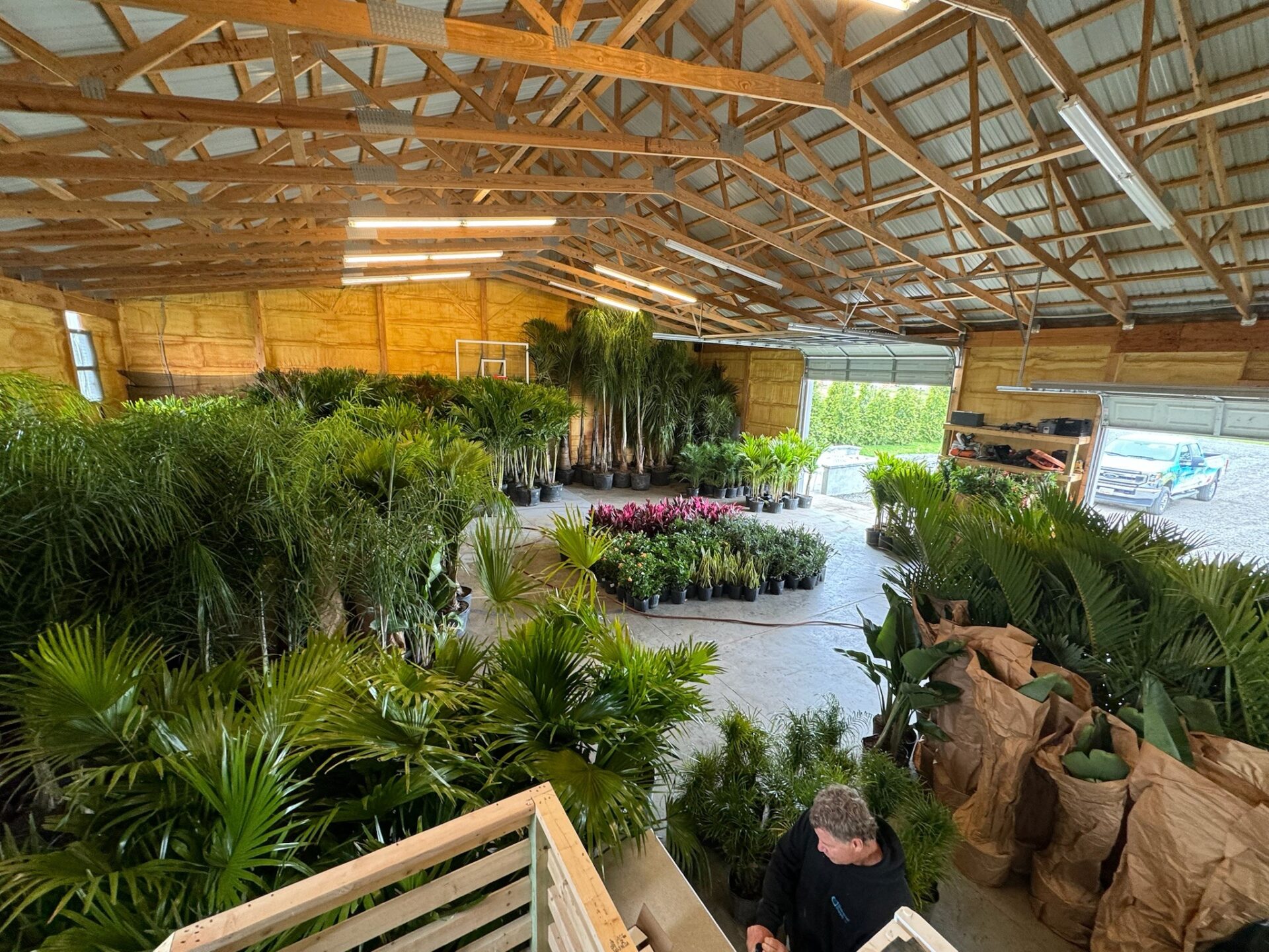 Resort Palms Garden Center | Selbyville, DE | Tropical Plants & Palms