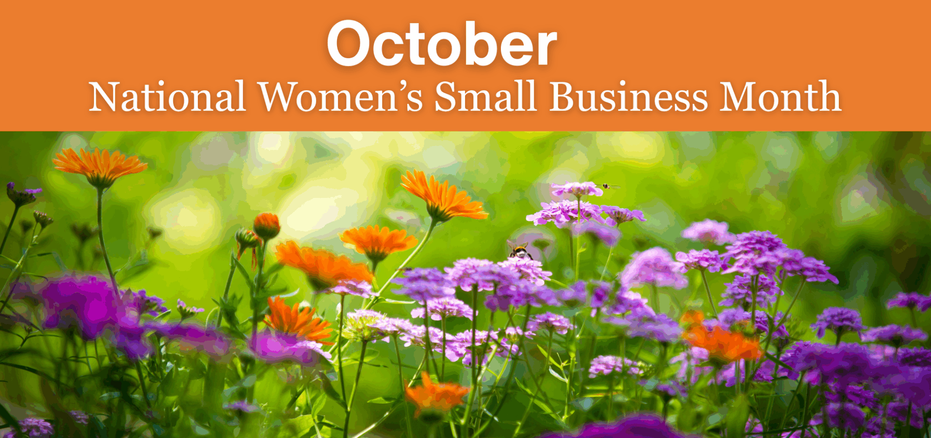 Celebrating Strength & Innovation: October Is National Women’s Small ...